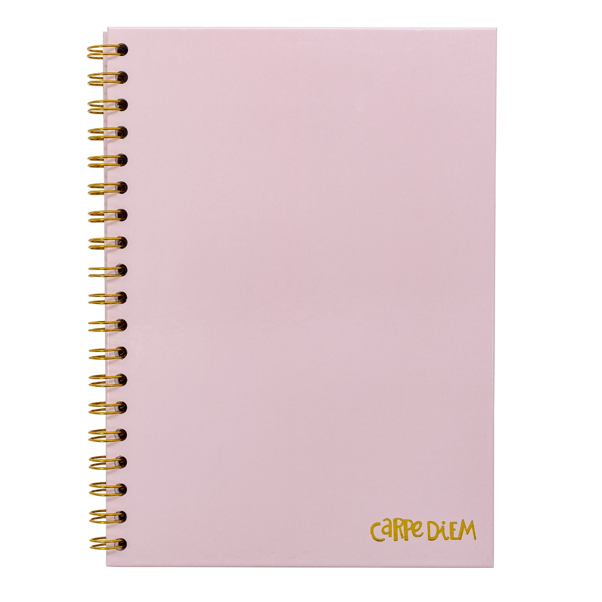 Ballerina Pink B5 hardcover notebook - Carpe Diem