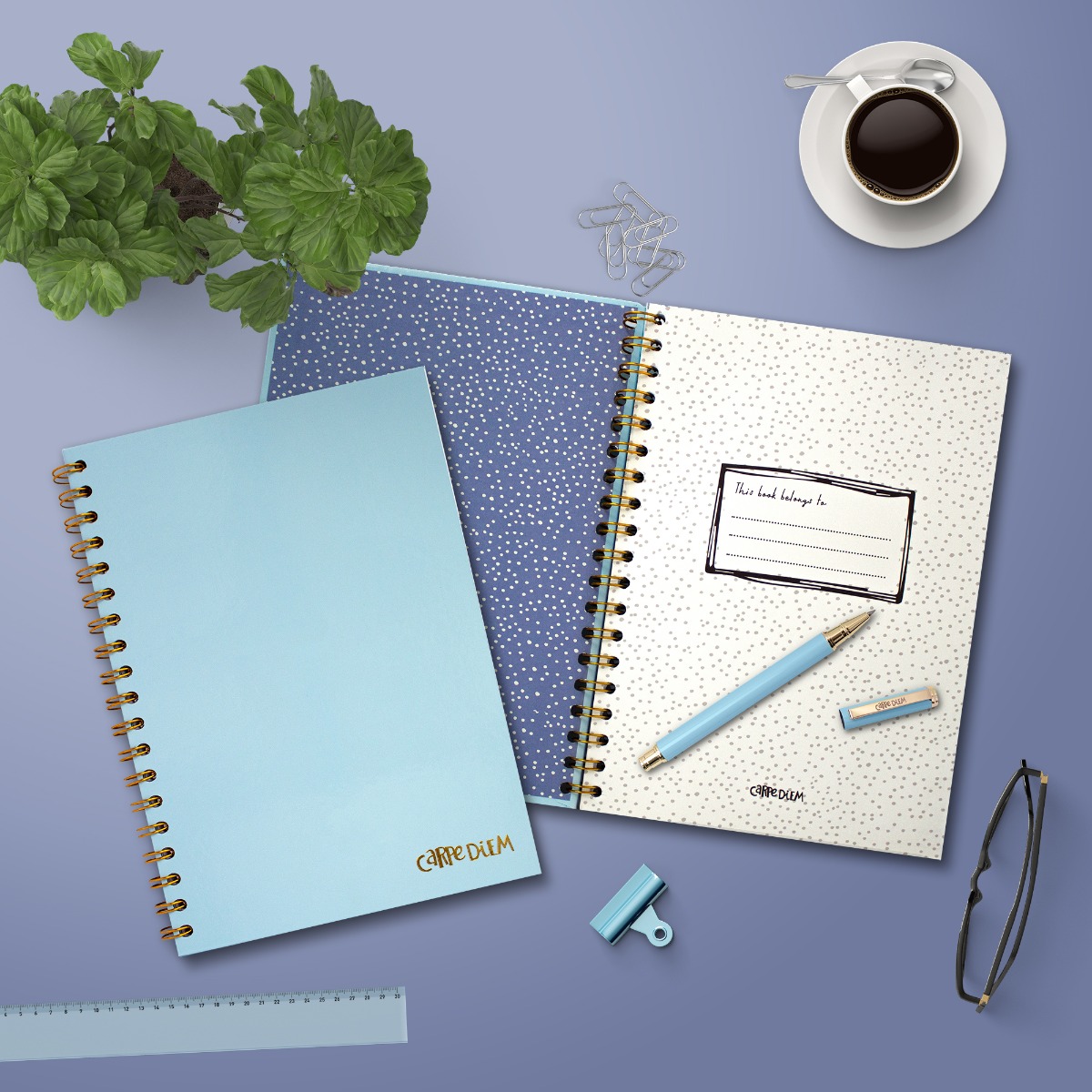Sky Blue Notebook Holder - Carpe Diem