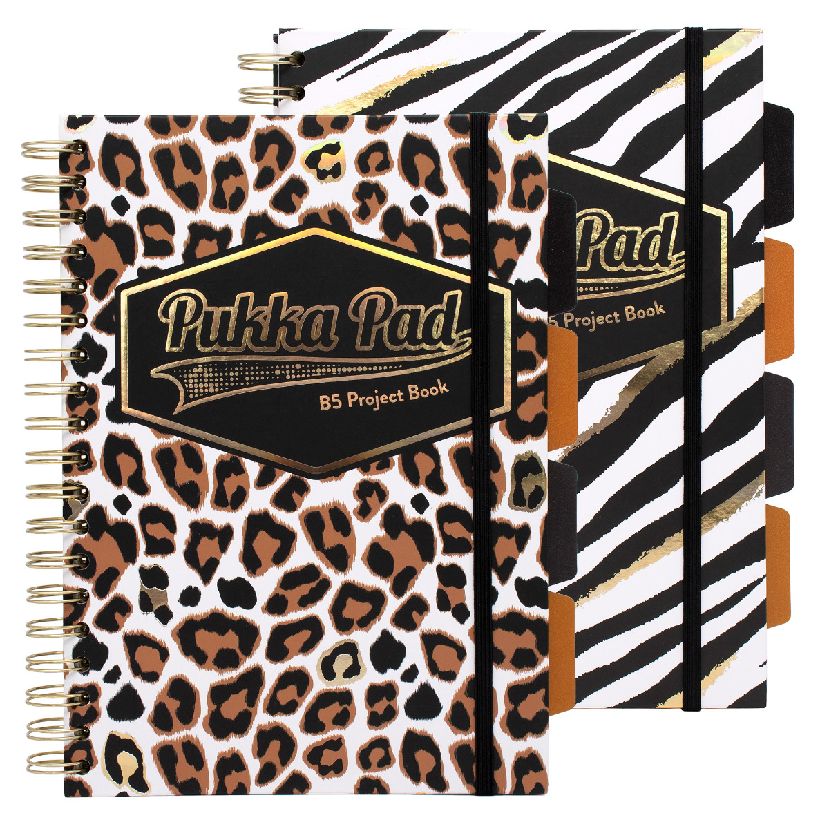 Pukka Pads Wild B5 Hardback Lined Project Book - Assorted Pack of 2
